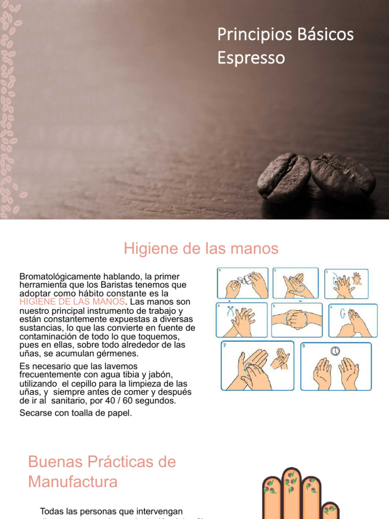 PRINCIPIOS BASICOS | PDF | café | Lavado de manos