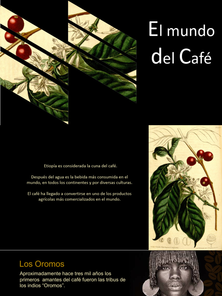 El Mundo Del Café Historia Pdf Café Bebidas Calientes
