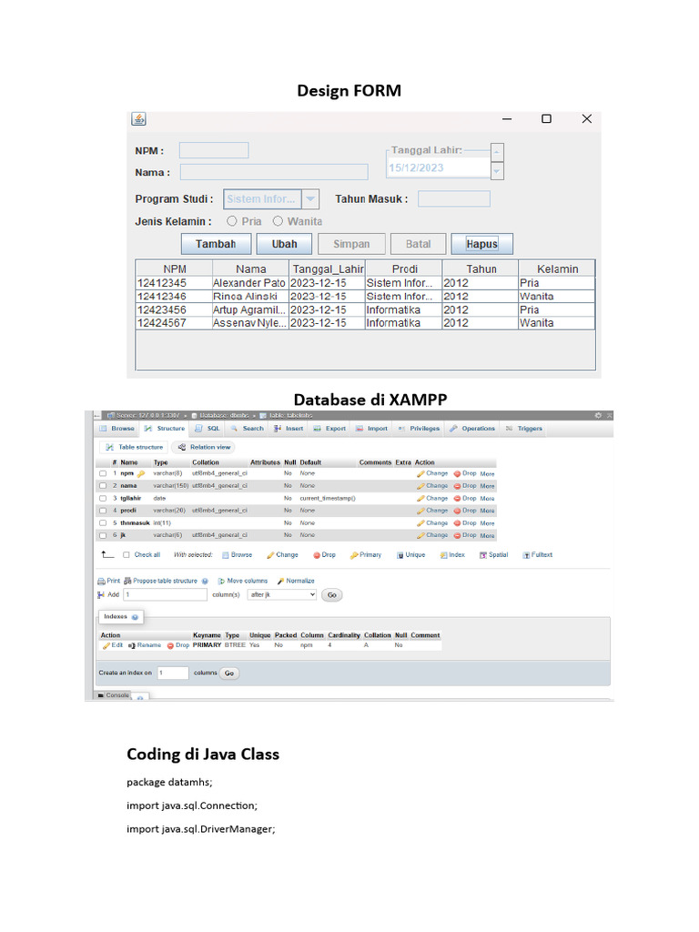 Project MHS | PDF | Programming Paradigms | Computing Platforms