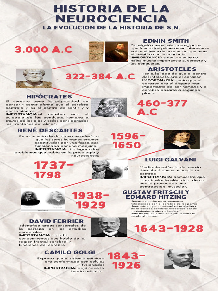 Historia de La Neurociencia | PDF | Cerebro | Neurociencia