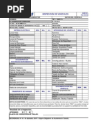 Formato de Control Vehicular | PDF