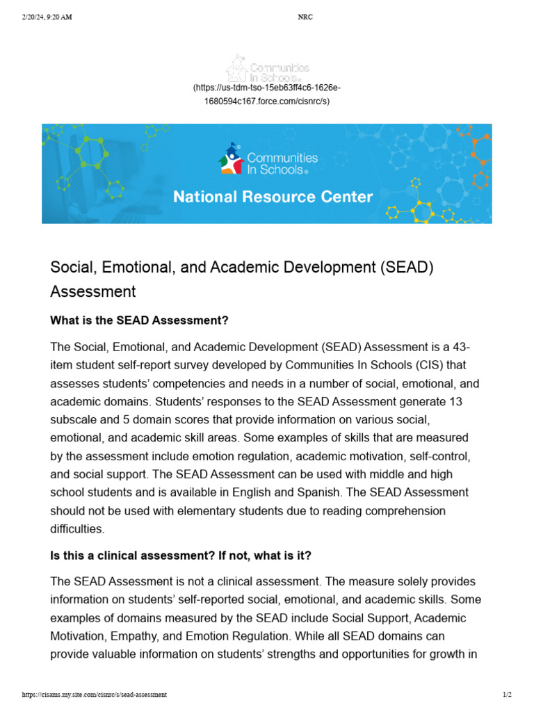 Sead Assesment | PDF | Psychology | Psychological Concepts