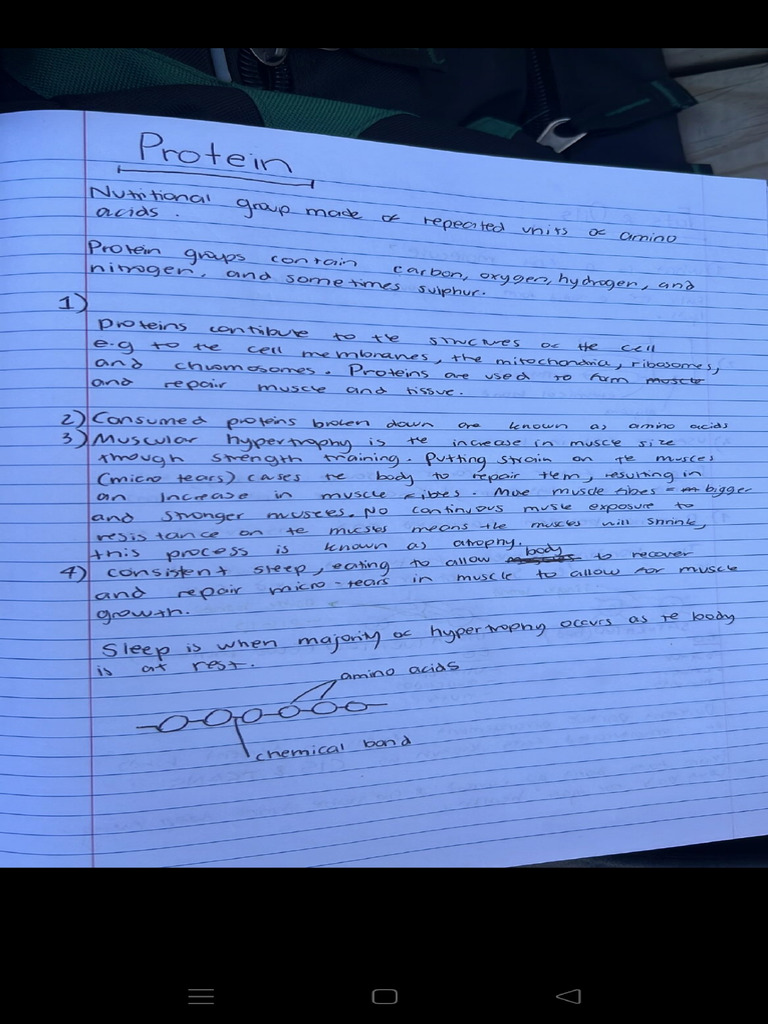 Protein Notes | PDF
