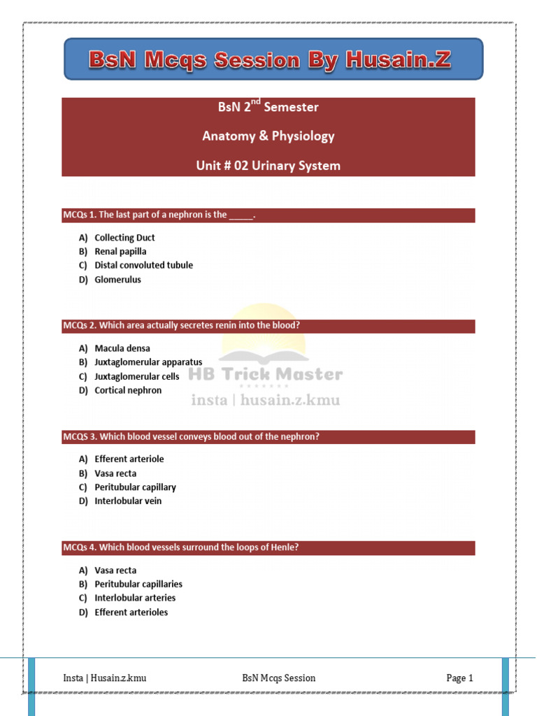 Urinary System Mcqs YT Insta Medico Slides-1 | PDF | Kidney | Genitourinary System