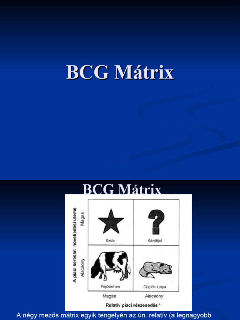 8 BCG Mátrix | PDF
