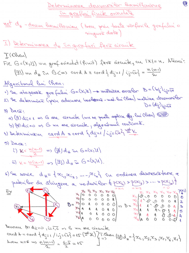 Curs 07-08 (Det Drum Hamilt - Cu Si Fara Circuite) | PDF