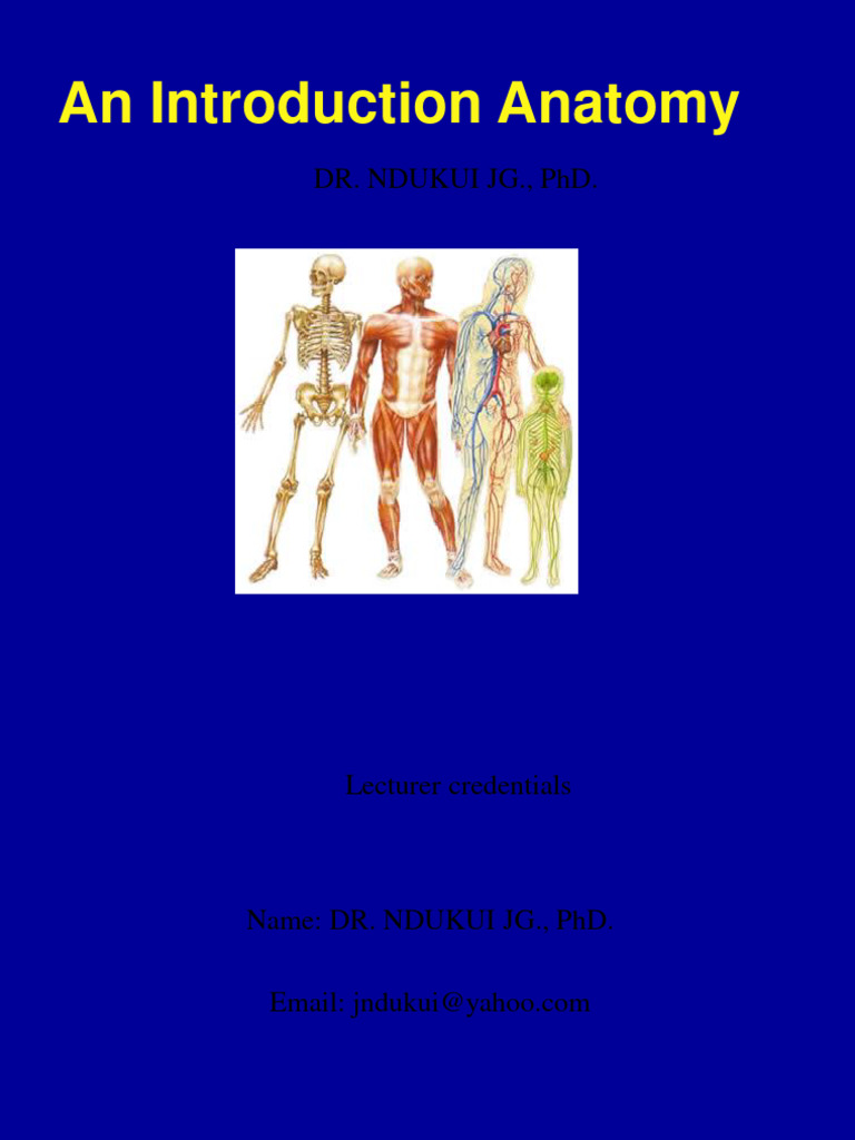 Introduction to Human Anatomy Overview | PDF | Human Body | Peritoneum