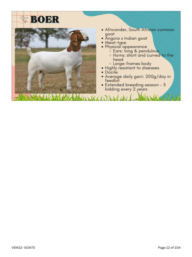 Goat and Sheep Breed | PDF | Goat | Wool