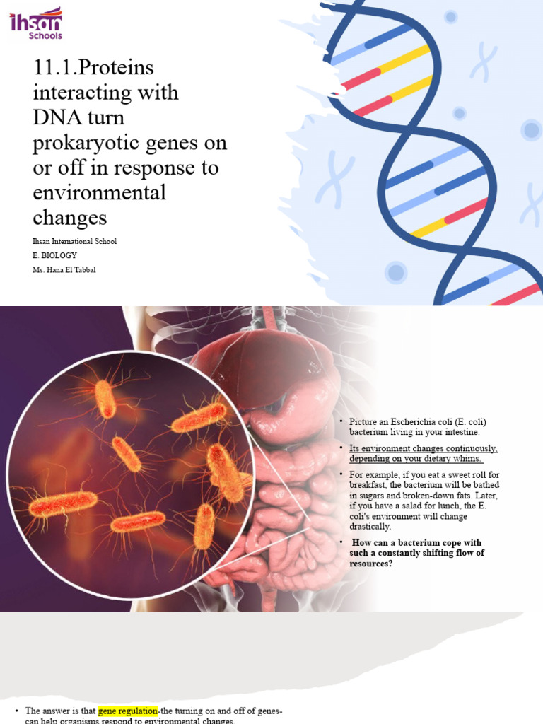 11.1.proteins Interacting With DNA Turn Prokaryotic Genes On or Off in Response To Environmental ...