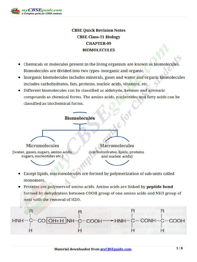 11 Biology Notes Ch09 Biomolecules | PDF 11 Biology Notes Ch09 Biomolecules | PDF