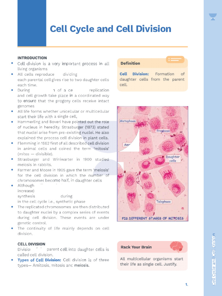 Cell Cycle and Cell Division Textbook | PDF