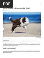 AKC Novice Trick Dog Checklist | PDF | American Kennel Club | Dogs
