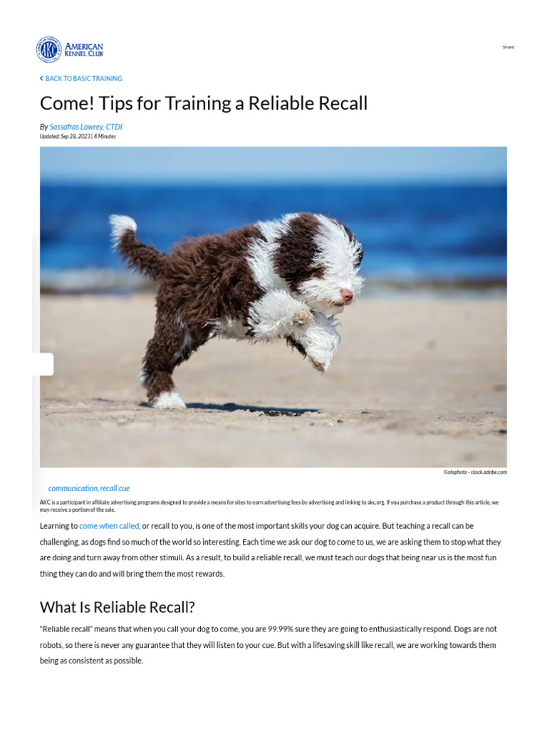 Reliable Recall Tips & Tricks For Training Your Dog To Come When Called ...