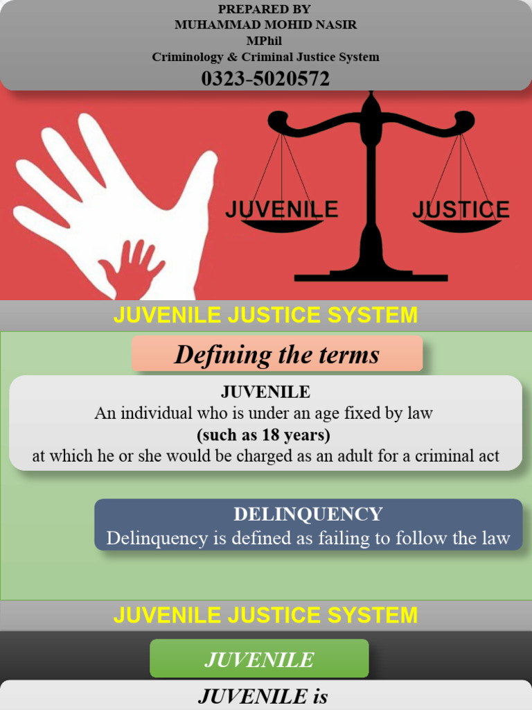 Juvenile Justice System Pdf Juvenile Delinquency Juvenile Court