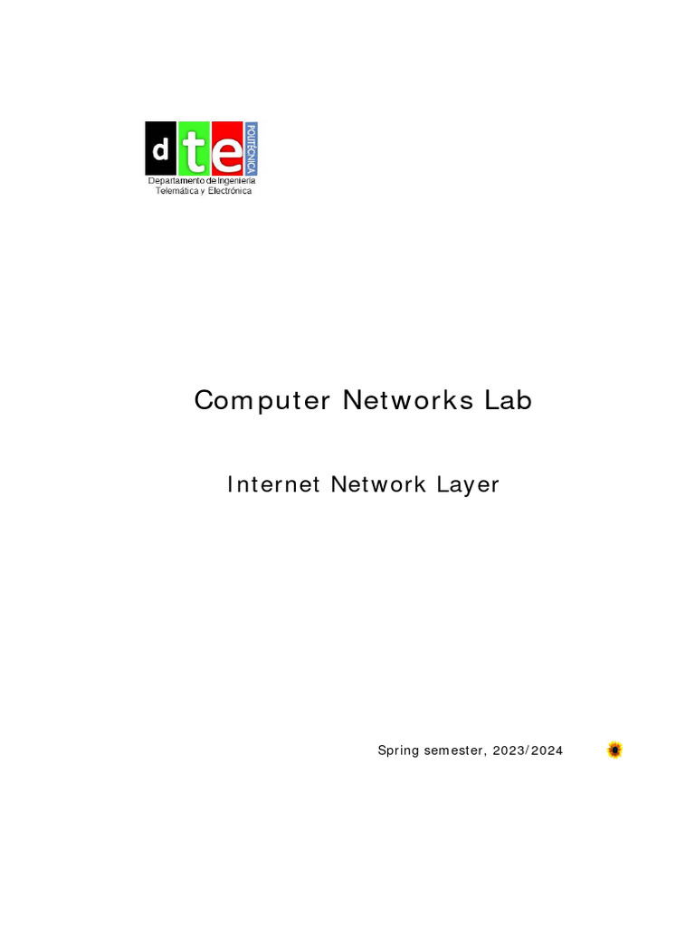 Internet Network Layer Lab P | PDF | Ip Address | Internet Protocols