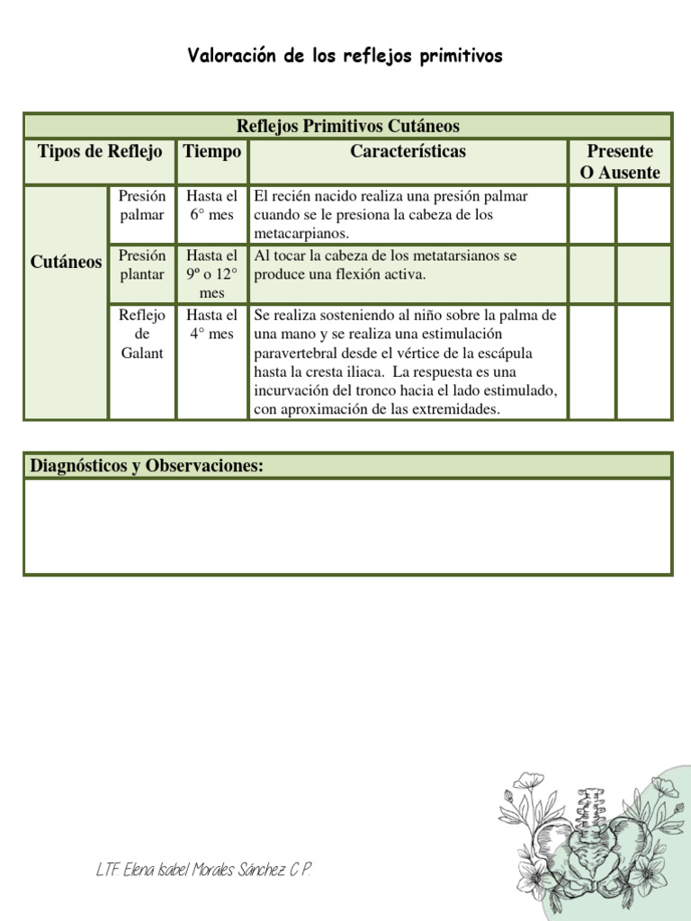 Evaluación de Reflejos Primitivos Bebé | PDF | Sistema musculoesquelético