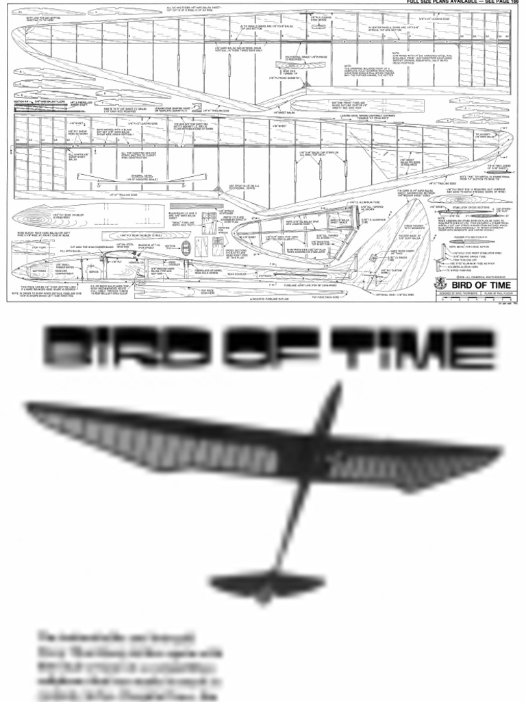 Bird of Time Plan and Article | PDF