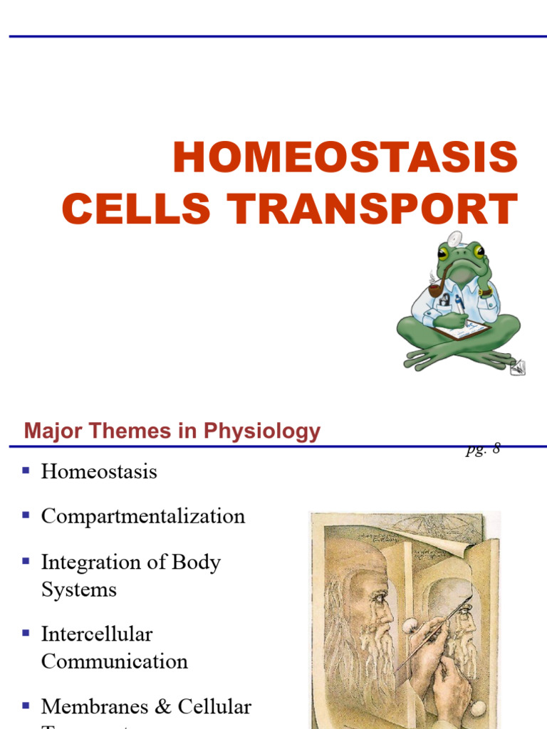 Homeostasis and Cellular Transport Mechanisms | PDF | Cell Signaling | Signal Transduction