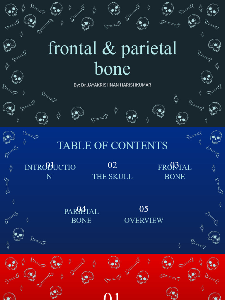 Skull | Download Free PDF | Skull | Musculoskeletal System