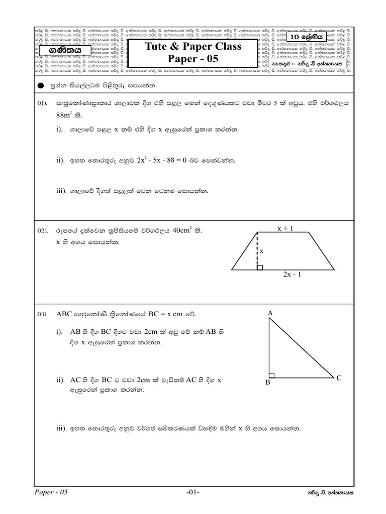 Grade 10 - Paper Class 05 | PDF