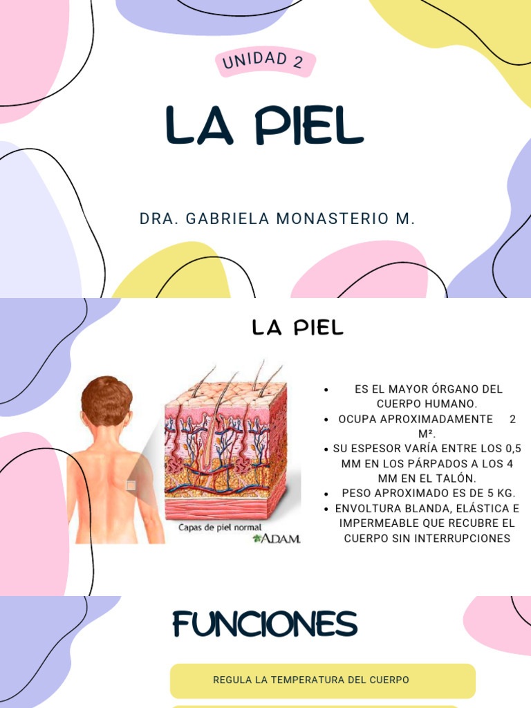 La Piel | PDF | Epidermis | Piel