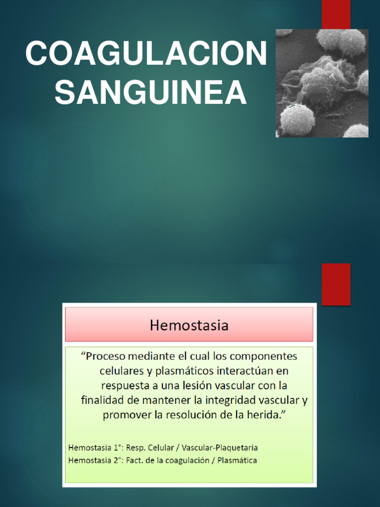 Coagulación Sanguínea y Hemostasia | PDF | Coagulación | Plaqueta
