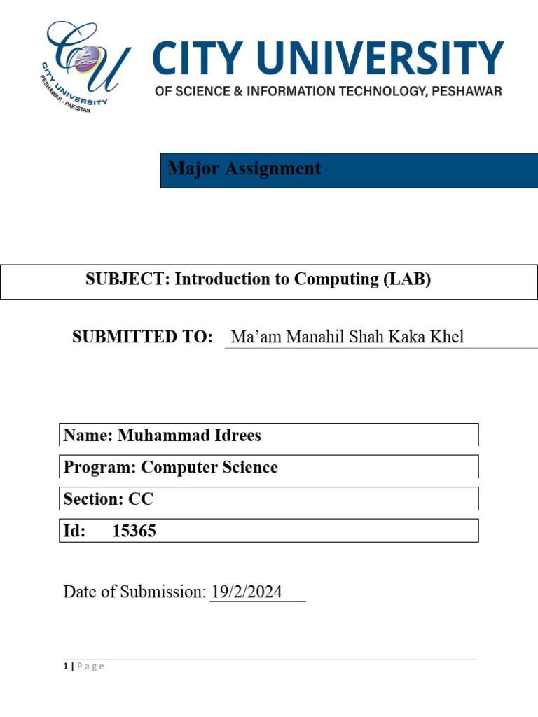 Major Assignment | PDF | Poverty | Poverty & Homelessness