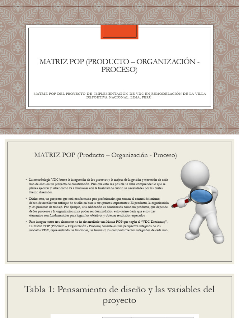 MATRIZ POP (Producto - Organización - Proceso | PDF | Matriz (Matemáticas) | Diseño