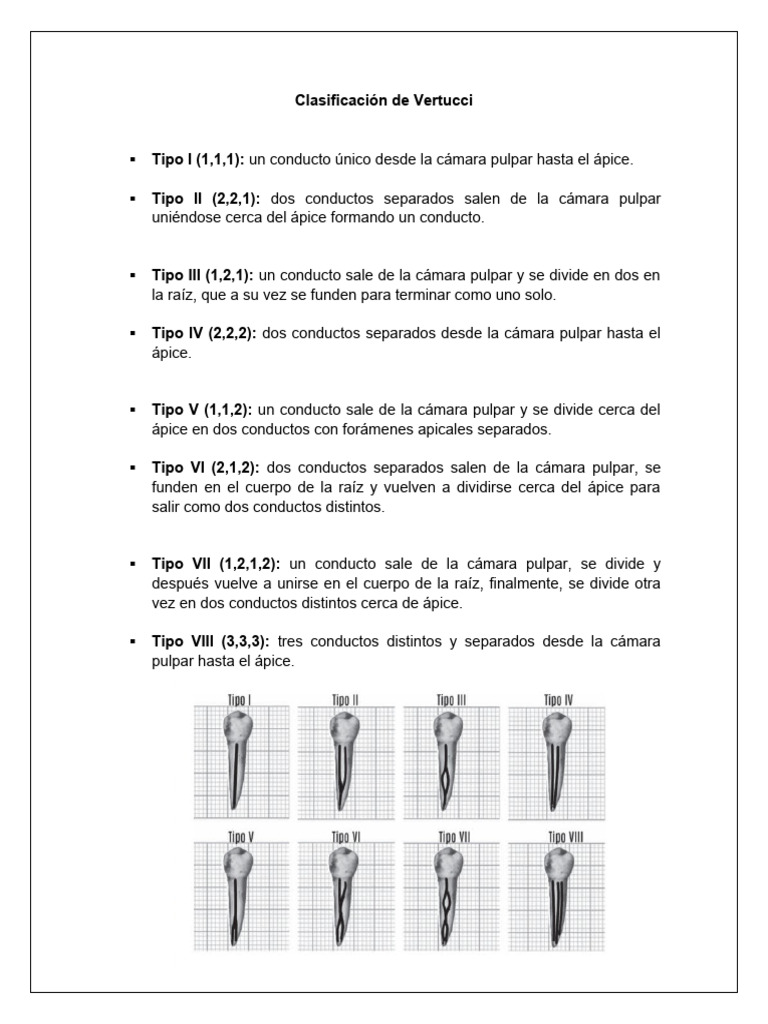Clasificación de Vertucci en Endodoncia | PDF | Ciencias sociales ...