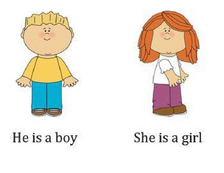 She and He | PDF