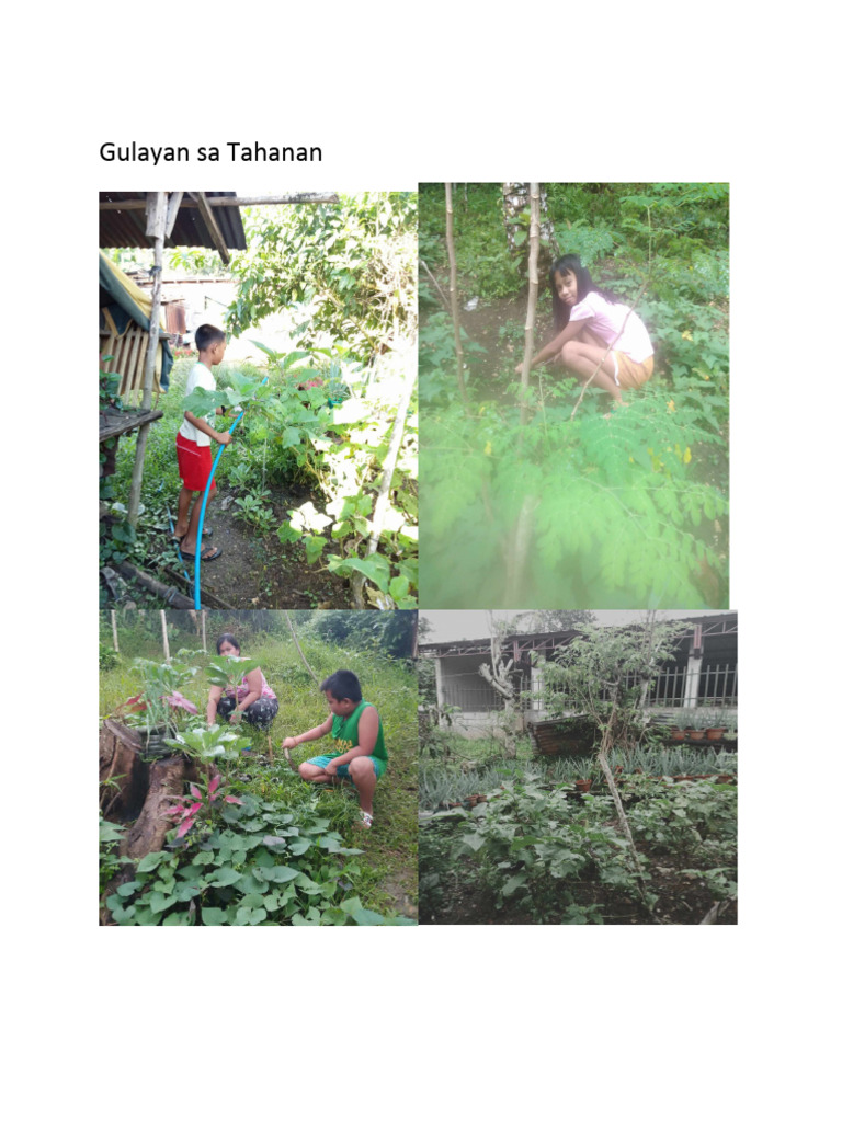 Gulayan sa Tahanan pic | PDF