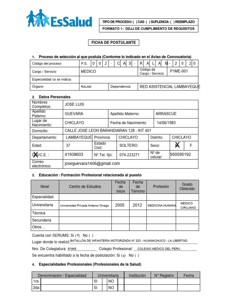 Formato1 PDF | PDF | Hospital