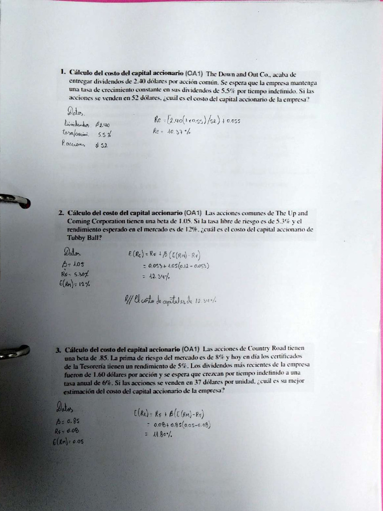 CAPITULO 14 - FINANZAS - Compressed | PDF