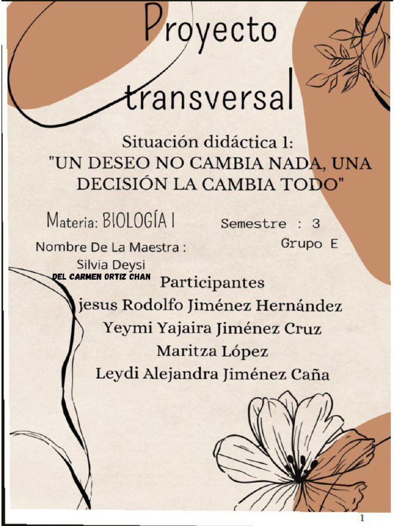 Proyecto Transversal STD 1.5 | PDF