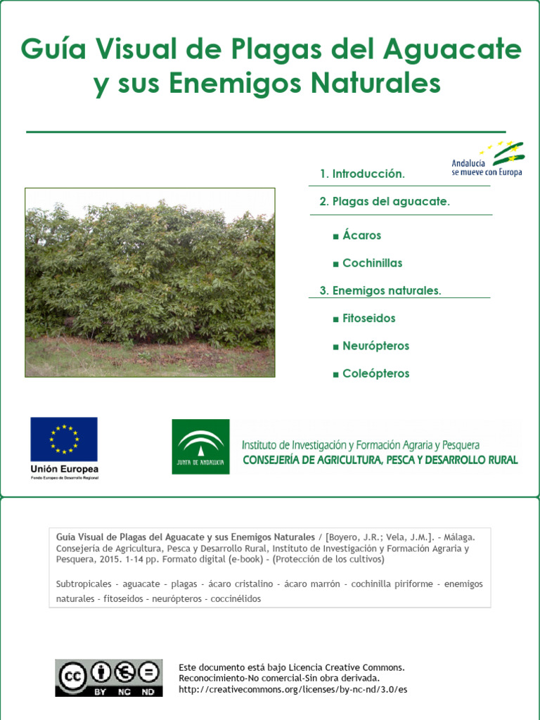 Guía Visual Plagas Aguacate & E.N. - Def-3 | PDF | Aguacate | Hoja