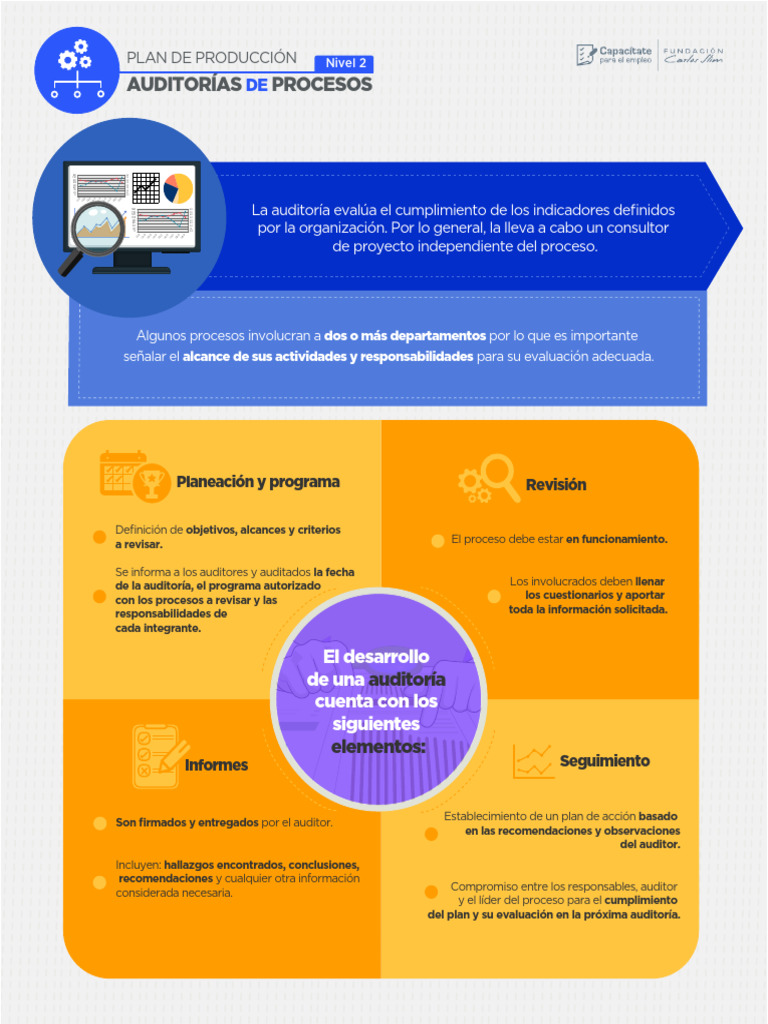 Auditorías de Procesos | PDF | Auditoría | Contralor