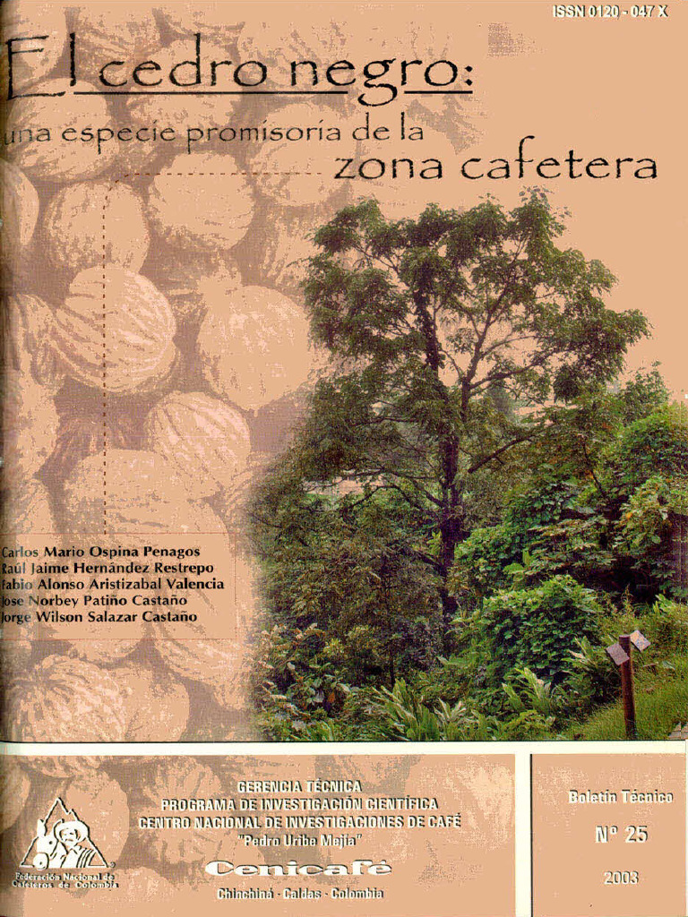 Cedro Negro: Potencial en Zona Cafetera | PDF | Colombia | Productos ...