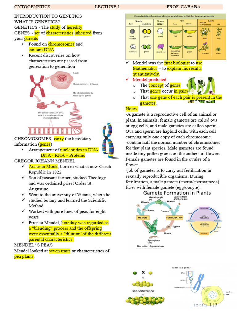 CYTOGEN LESSON 1 | PDF | Zygosity | Dominance (Genetics)