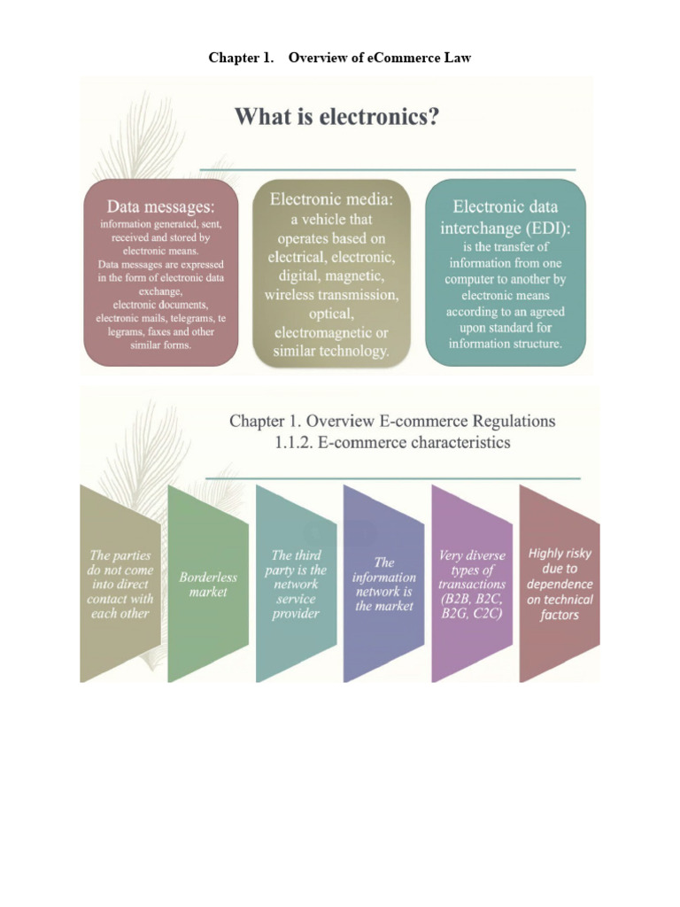 Chapter 1 | PDF | E Commerce | Vietnam