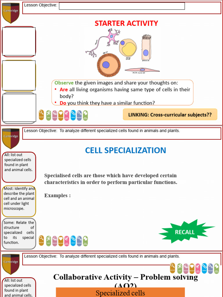 Specialized Cells in Plants and Animals | PDF | Cell (Biology) | Plants
