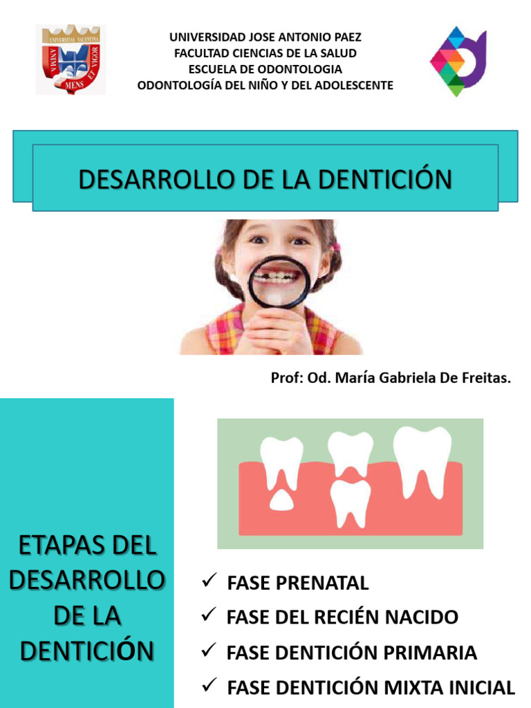 Tema 3 - Desarrollo de La Denticion | PDF | Boca | Anatomia dental
