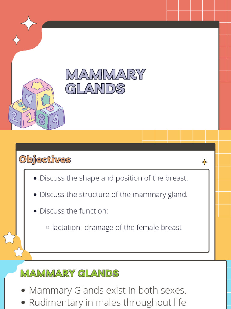 Reproduction PPT 7 MAMMARY GLANDS | PDF | Lactation | Breast