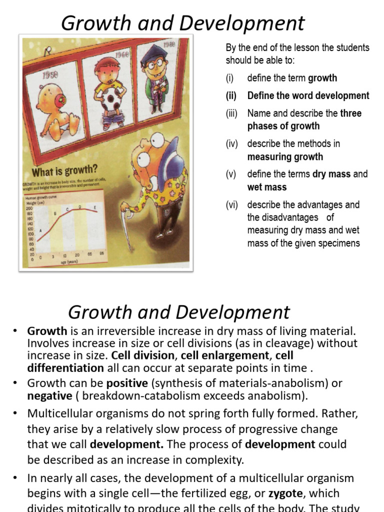 Reproduction PPT 8 GROWTH MEASURING | PDF | Cell Growth | Cell (Biology)