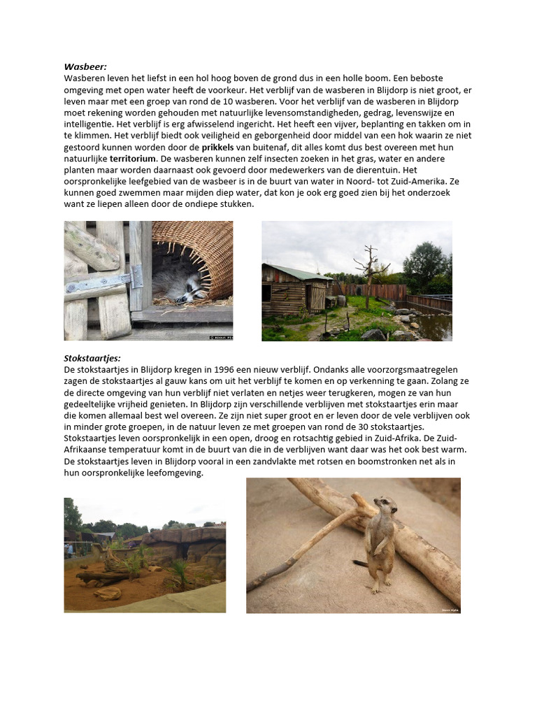 Blijdorp Verslag h4 | PDF