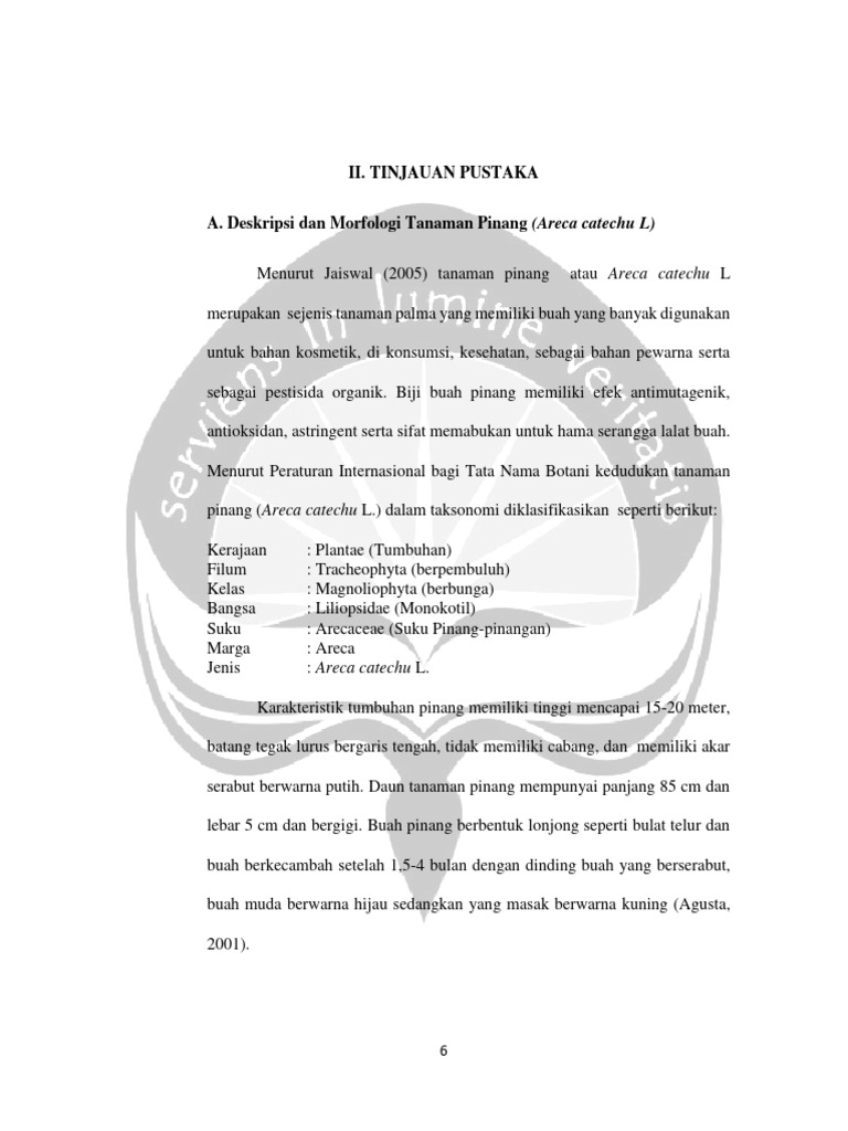 Deskripsi Dan Morfologi Tanaman Pinang (Areca Catechu L) | PDF