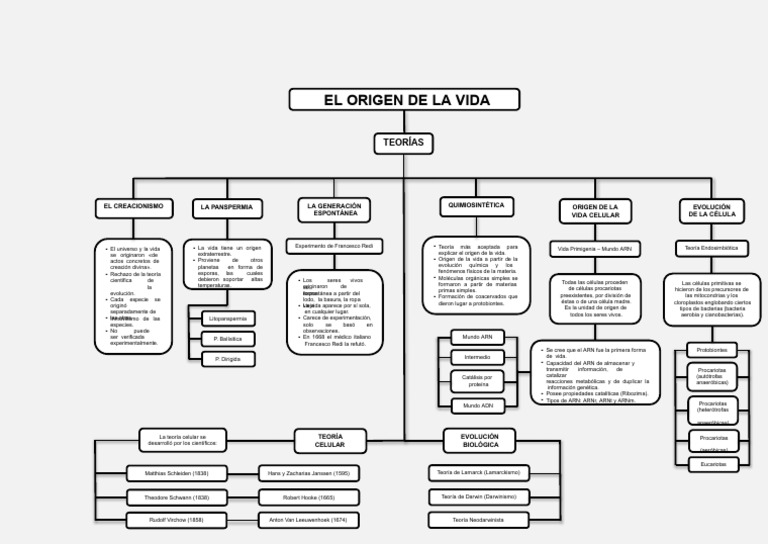 Mapa Conceptual Del Origen de La Vida | PDF | Abiogénesis | Biología ...