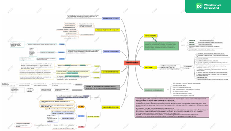 Mapa Resumen Salud Publica | PDF
