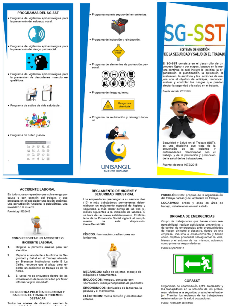 Programas y Normativas SG-SST | PDF