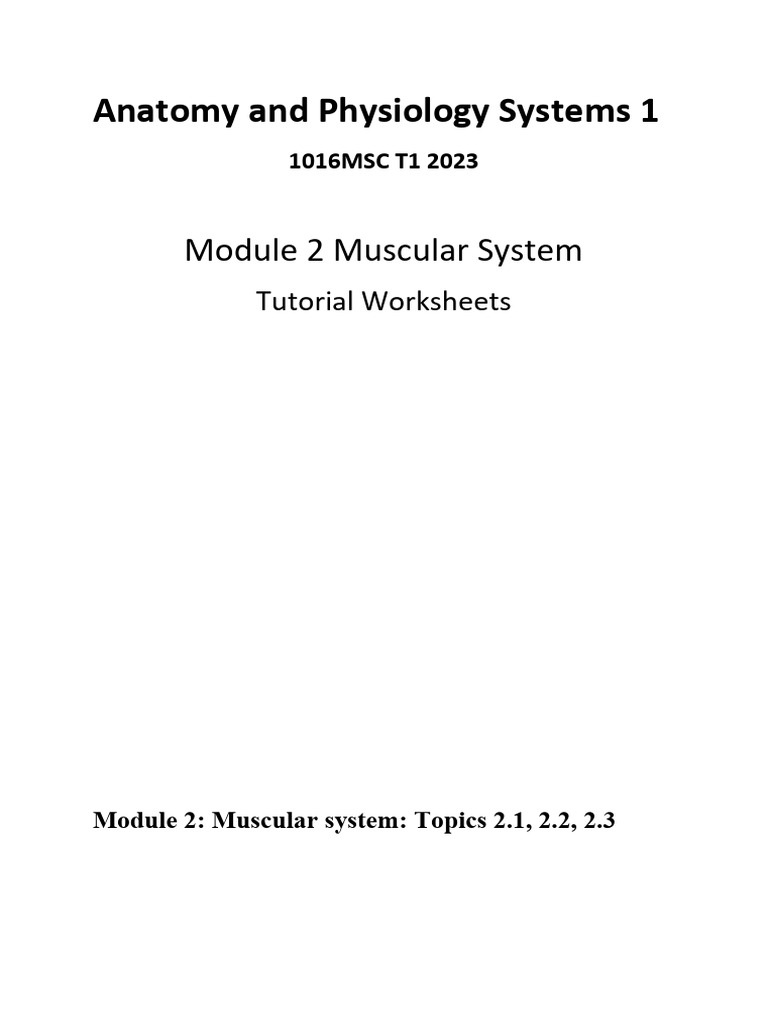 1016MSC T1 2023 Module 2 Muscular System Tutorial Worksheets-1 | PDF | Human Leg | Anatomical ...