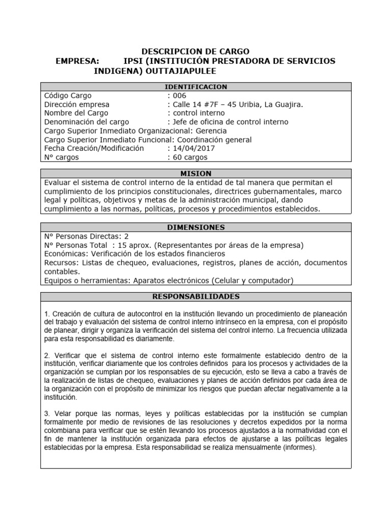 Descripcion Cargos | PDF | Business | Auditoría